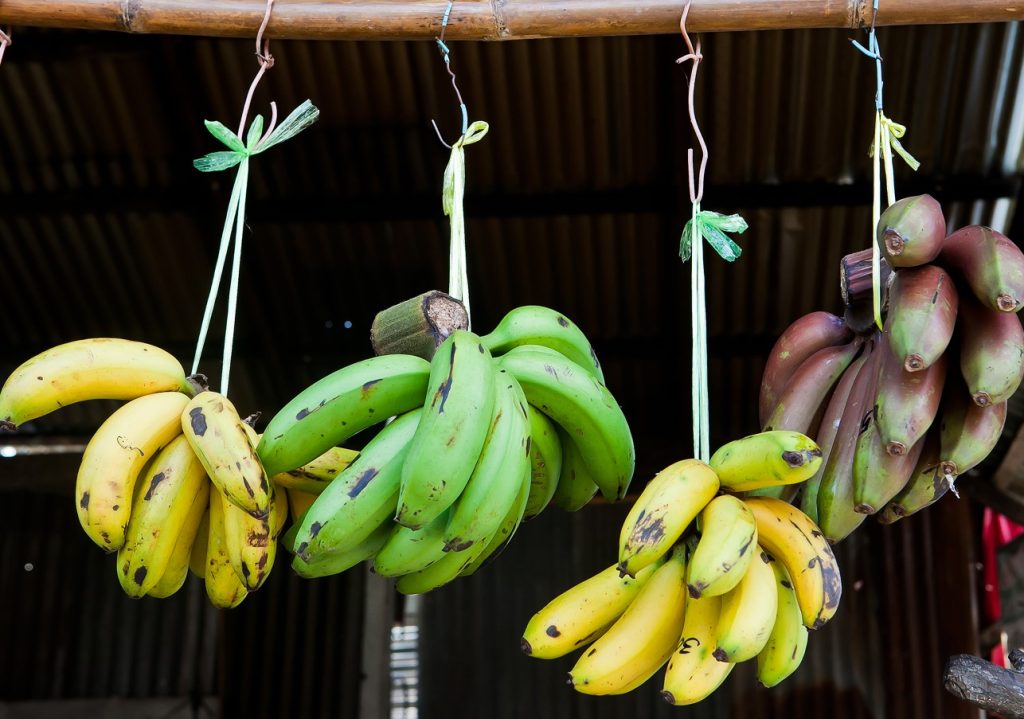 ¿Cuál es el origen de la expresión “república bananera”?