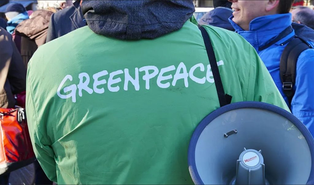 ¿Cuál es el origen y función de Greenpeace?
